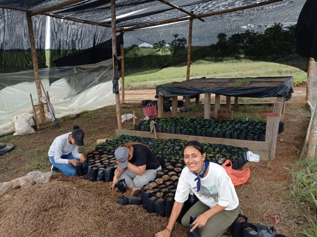 Viveros comunitarios aportaron 500.000 plántulas a la reforestación en ...