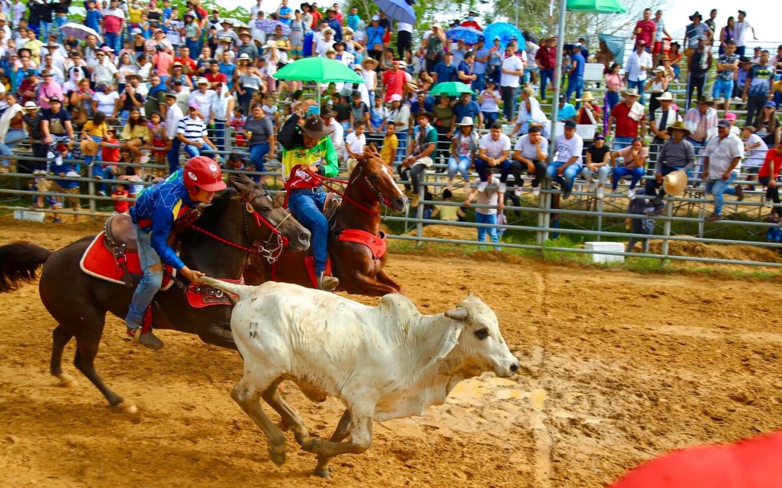 LAS COSTUMBRES Y TRADICIONES LLANERAS | hbplay